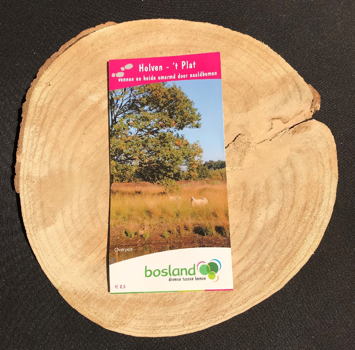 Bosland Holven + ' t Plat - Gemeente Hechtel-Eksel